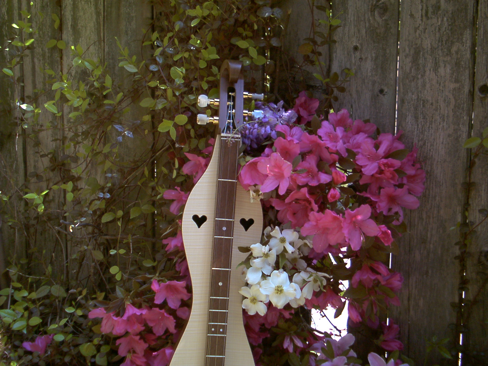 The May Day Carol – Dulcimer Jambalaya