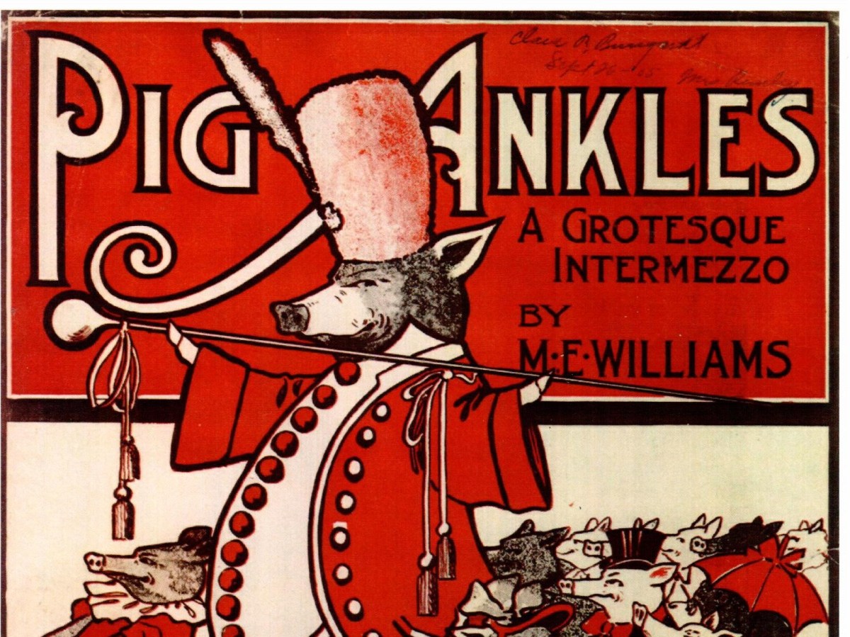 “Pig Ankles” Ragtime Music for dulcimer – Dulcimer Jambalaya