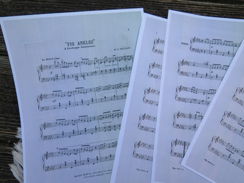 “Pig Ankles” Ragtime Music for dulcimer – Dulcimer Jambalaya