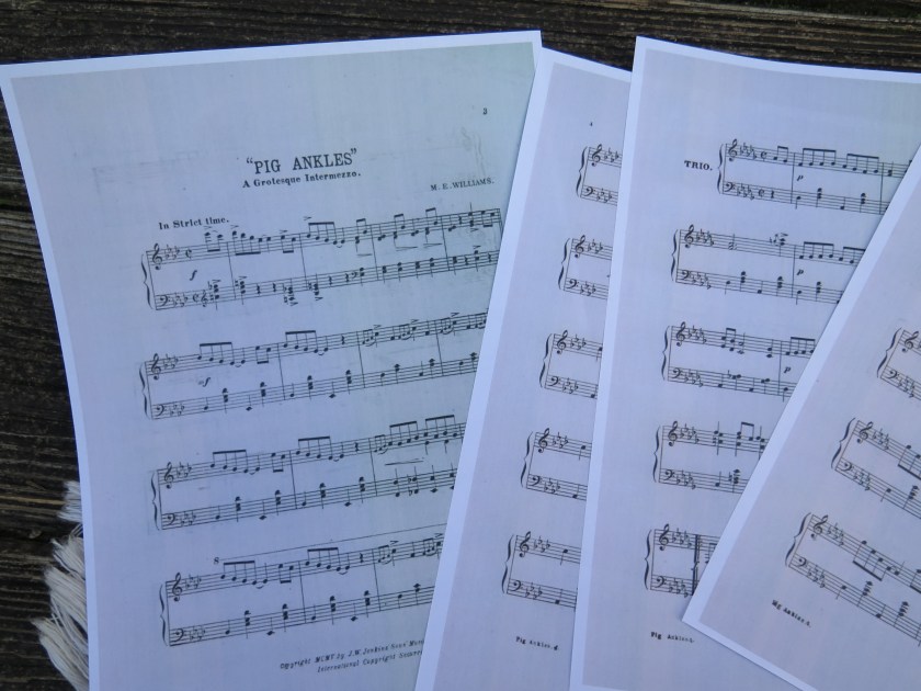 “Pig Ankles” Ragtime Music for dulcimer – Dulcimer Jambalaya