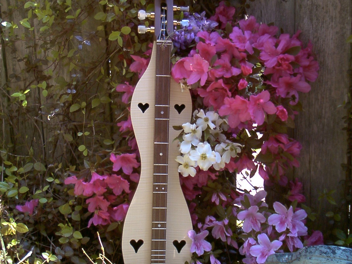 The Congress Reel – Dulcimer Jambalaya