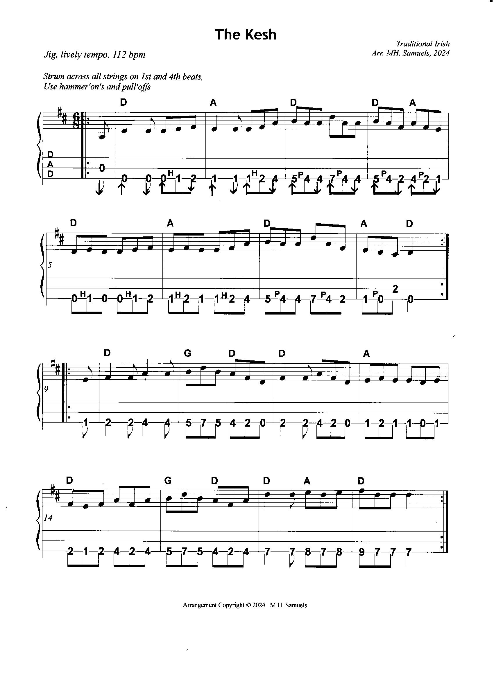 The Kesh — A Irish Jig & Two New Year Resolutions – Dulcimer Jambalaya